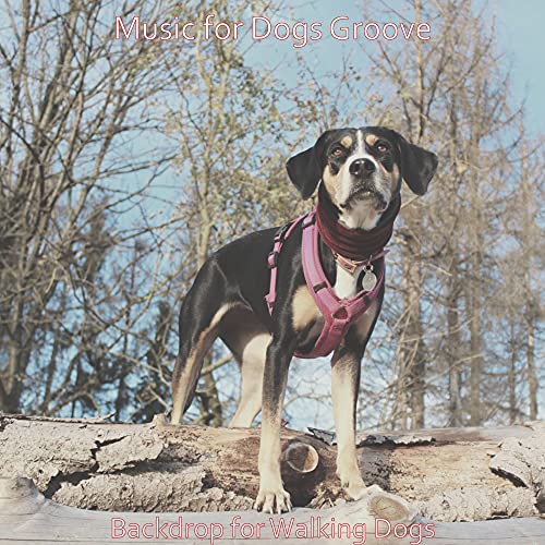 Backdrop for Walking Dogs de Music for Dogs Groove en Amazon Music ...
