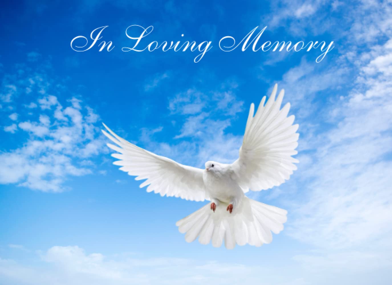 In Loving Memory: Funeral Guest Book Condolence Book, Remembrance Book ...