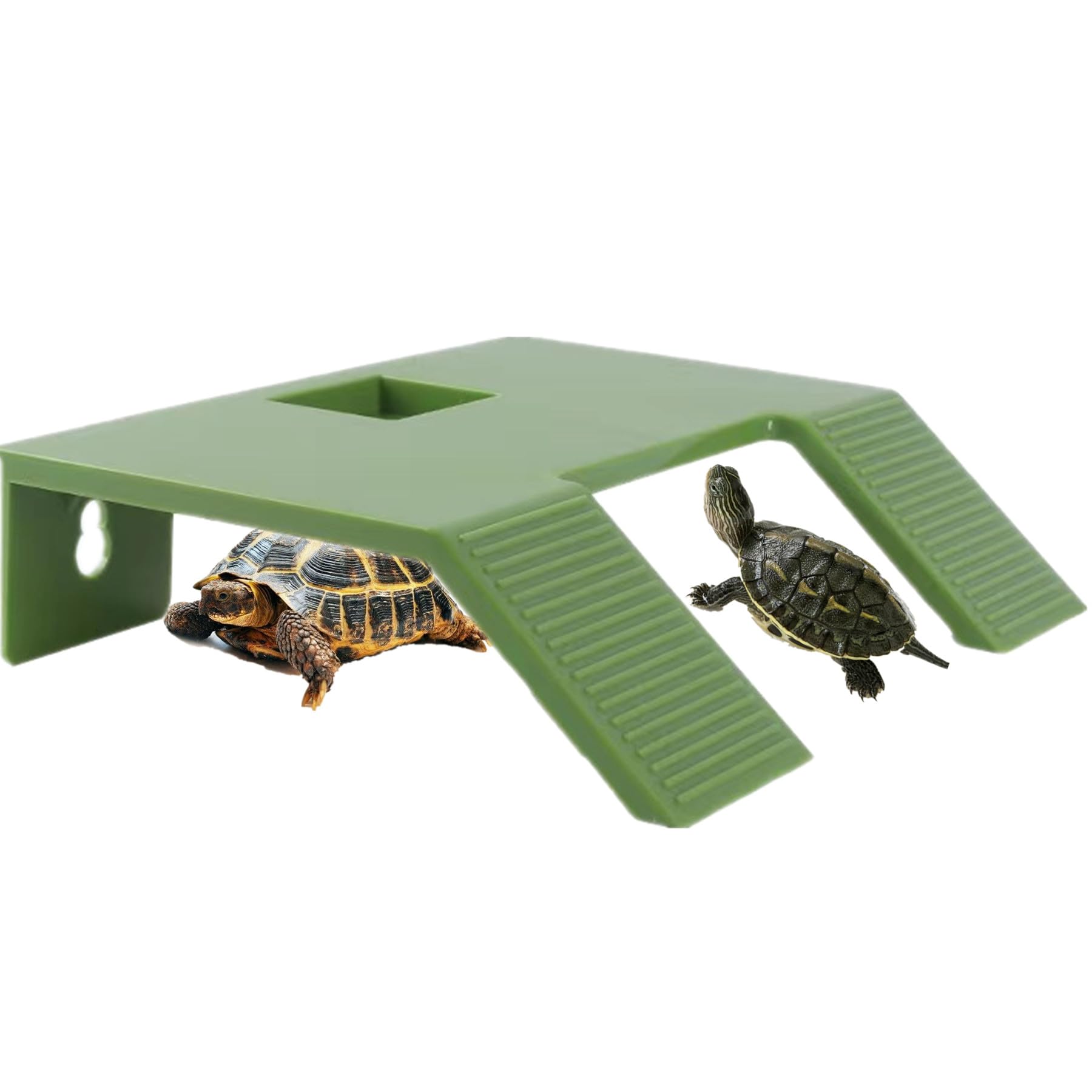 Snapklik.com : Turtle Resting Basking Platform, Double Ladder Plastic ...