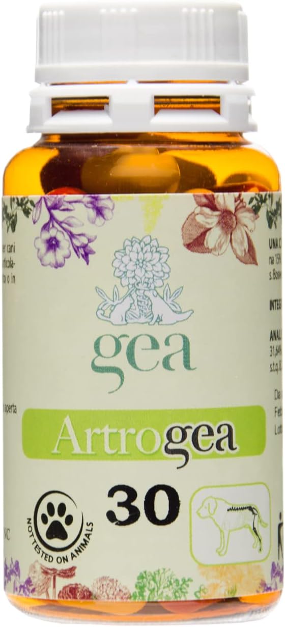 GEA Pienso Complementario Artrogea - 30 cápsulas - 15 g : Amazon.es: Productos para mascotas