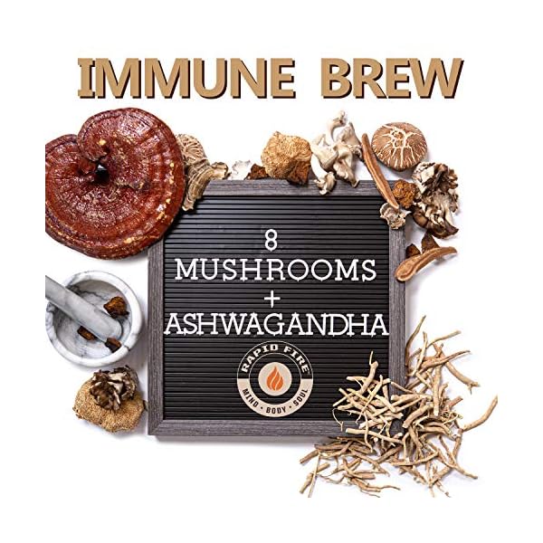 Rapidfire Immune Premium Brew Coffee, Super Mushroom Coffee, Supports ...