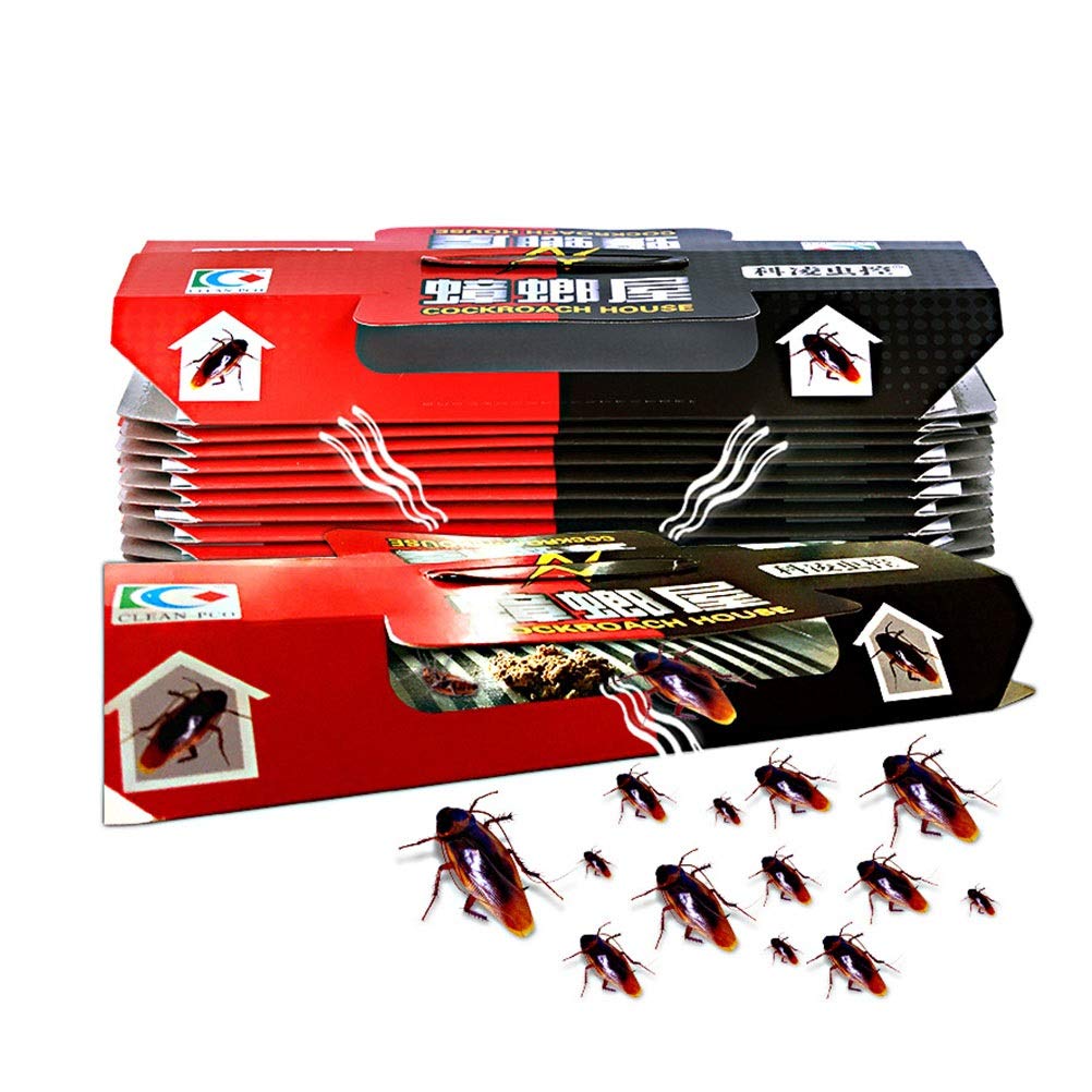 Buy Anewu Cockroach Sticky Boards, Cockroach Killer, Cockroach House ...