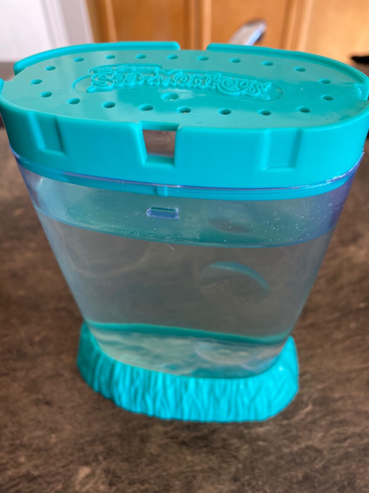 Sea-Monkeys Ocean Zoo - Tank with Starter Kit! Just Add Water! Create ...