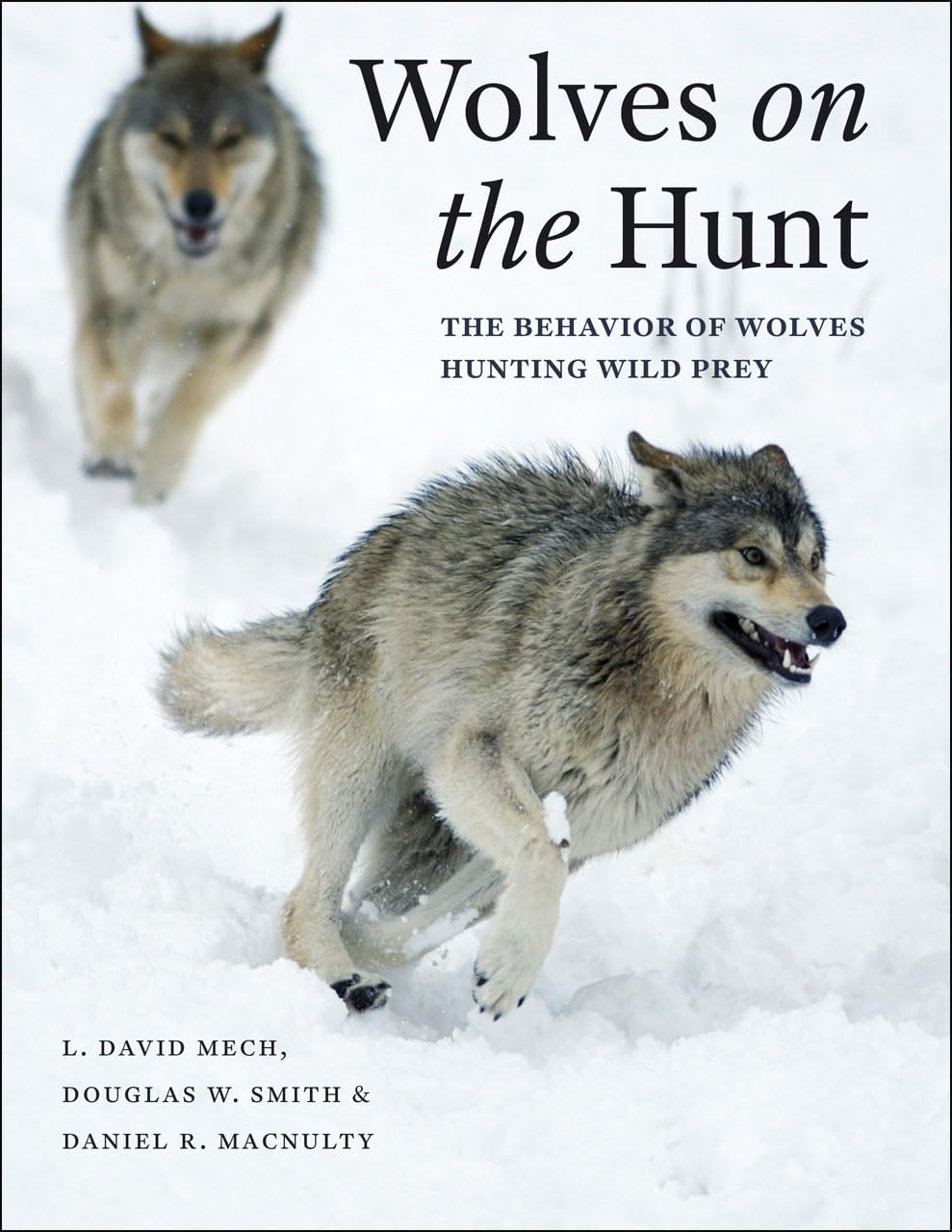 Wolves on the Hunt: The Behavior of Wolves Hunting Wild Prey: Mech, L ...