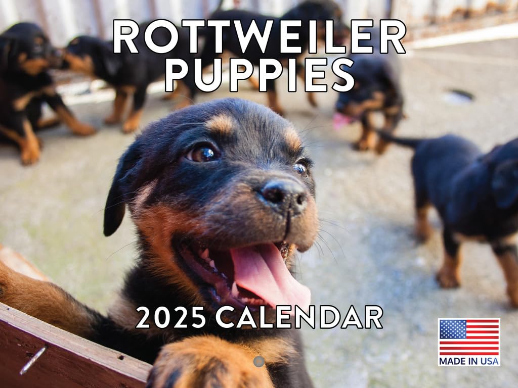Snapklik.com : Rottweiler Puppy 2025 Calendar Dog Breed American Made ...