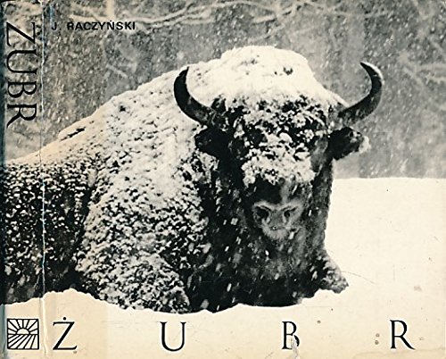 Zubr: Amazon.co.uk: Raczynski, Jan: Books