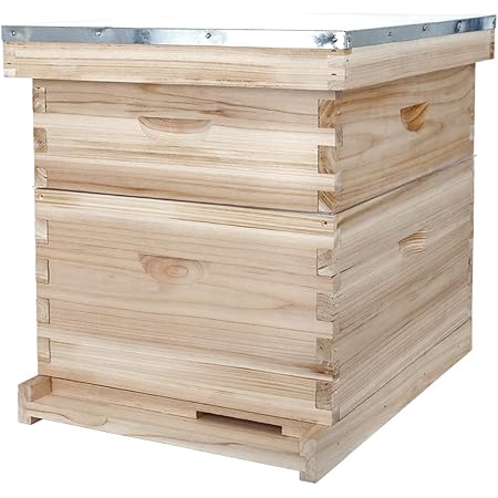 Amazon.com : BeeCastle 10-Frame Complete Bee Hives and Supplies Starter ...