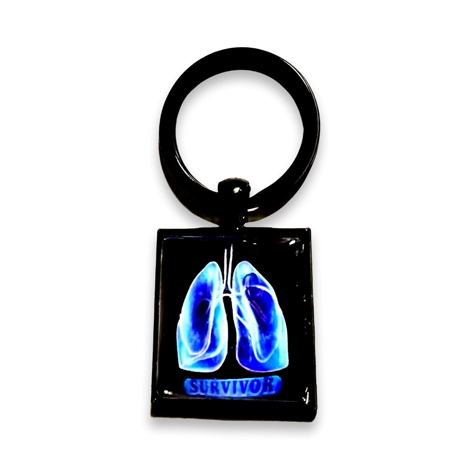 Amazon.com: Resin Electric Blue Heart, Kidney, Liver, Lung Square Disk ...