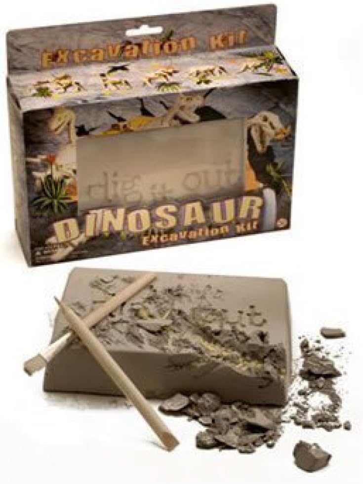 Amazon.com: Large Dinosaur Excavation Kit by NW Active Kids : Toys & Games