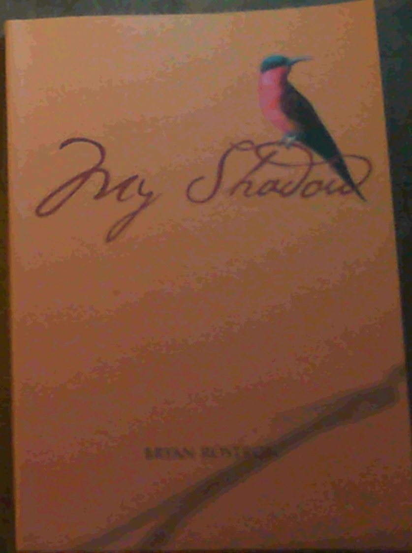 My Shadow: Amazon.co.uk: Rostron, Brian: 9780864866097: Books