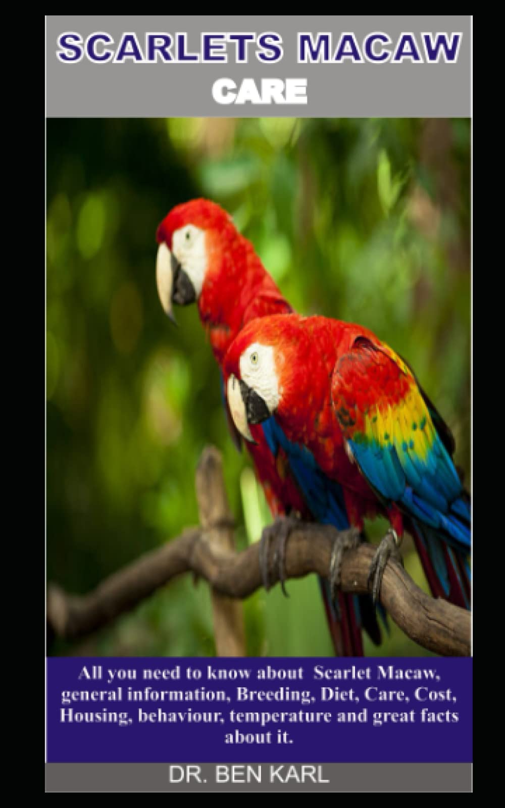 Buy lets Macaw care: All you need to know about let Macaw, general ...