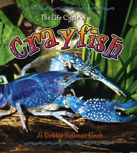 The Life Cycle of a Crayfish: Kalman, Bobbie, Sjonger, Rebecca ...