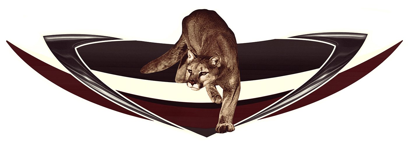 Amazon.com: 1 RV Trailer Camper Keystone Puma Graphic Decal-2008 ...