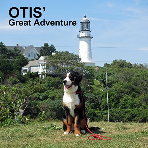 Amazon.com: Otis' Great Adventure (Otis Books Book 1) eBook : Neuman ...
