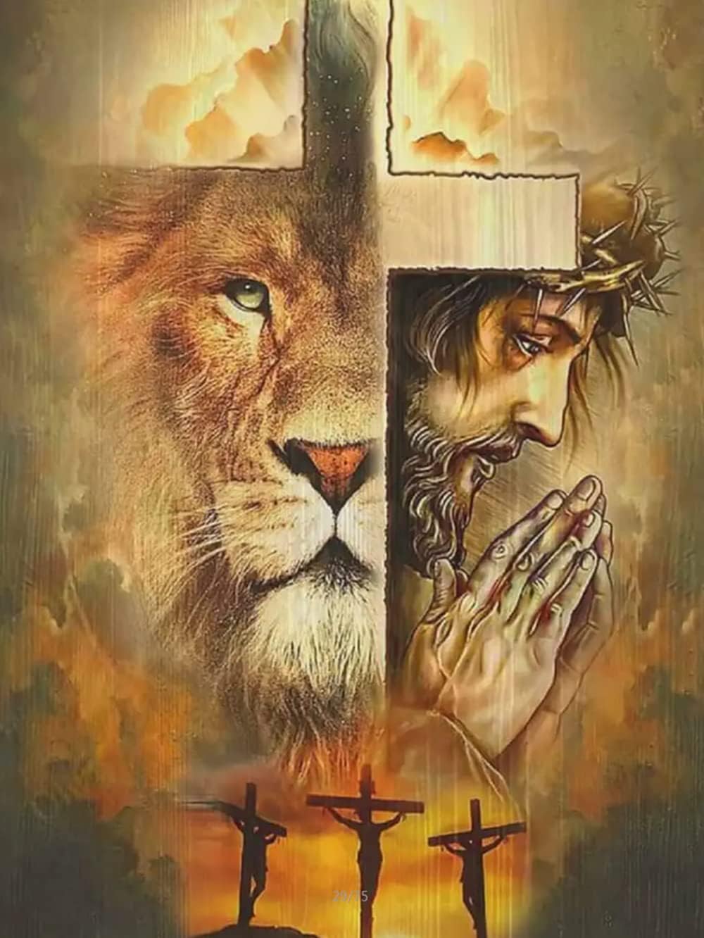 Amazon.com: MZWSDH Jesus Lion Cross Diamond Painting 5D Full Round ...