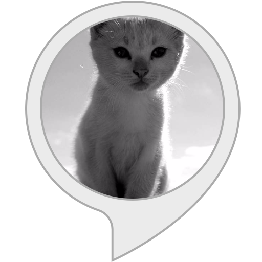 Amazon.com: math : Alexa Skills