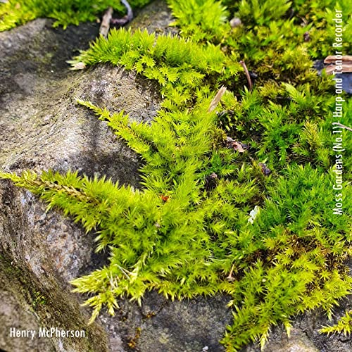 Play Moss Gardens (No.1) - Harp and Tenor Recorder by Henry McPherson ...