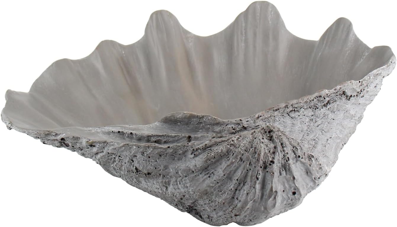 Amazon.com: ALIWINER Medium Grey Scalloped Clam Shell Bowl Sea Shell ...