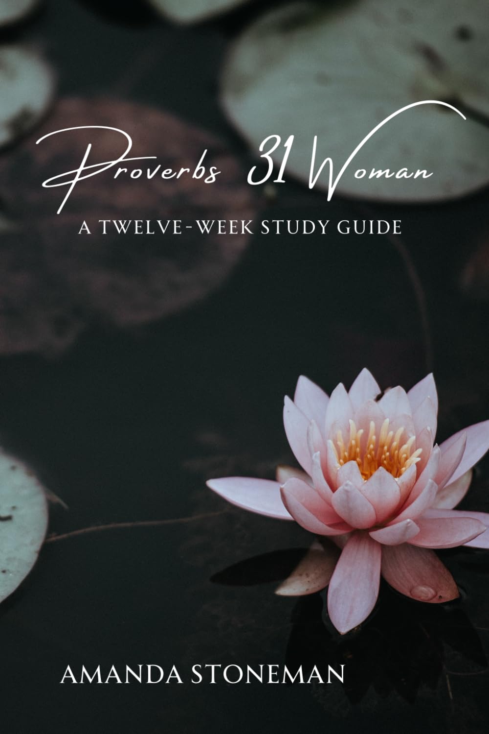 Proverbs 31 Woman: A Twelve-Week Study Guide: Stoneman, Amanda ...