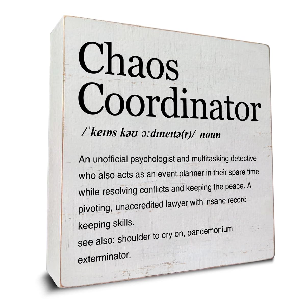 Amazon.com: Chaos Coordinator Gifts Chaos Coordinator Definition Art ...