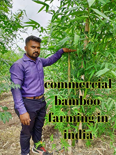 commercial bamboo farming in india : applicable all over world ...
