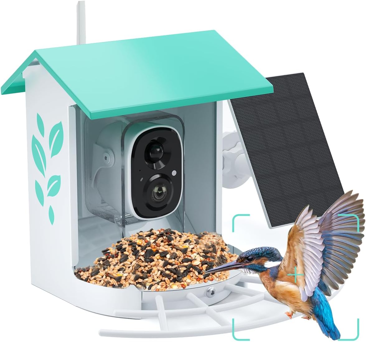 Amazon.com : GEREFET Bird Feeder with Camera, Full Metal Smart Wireless ...