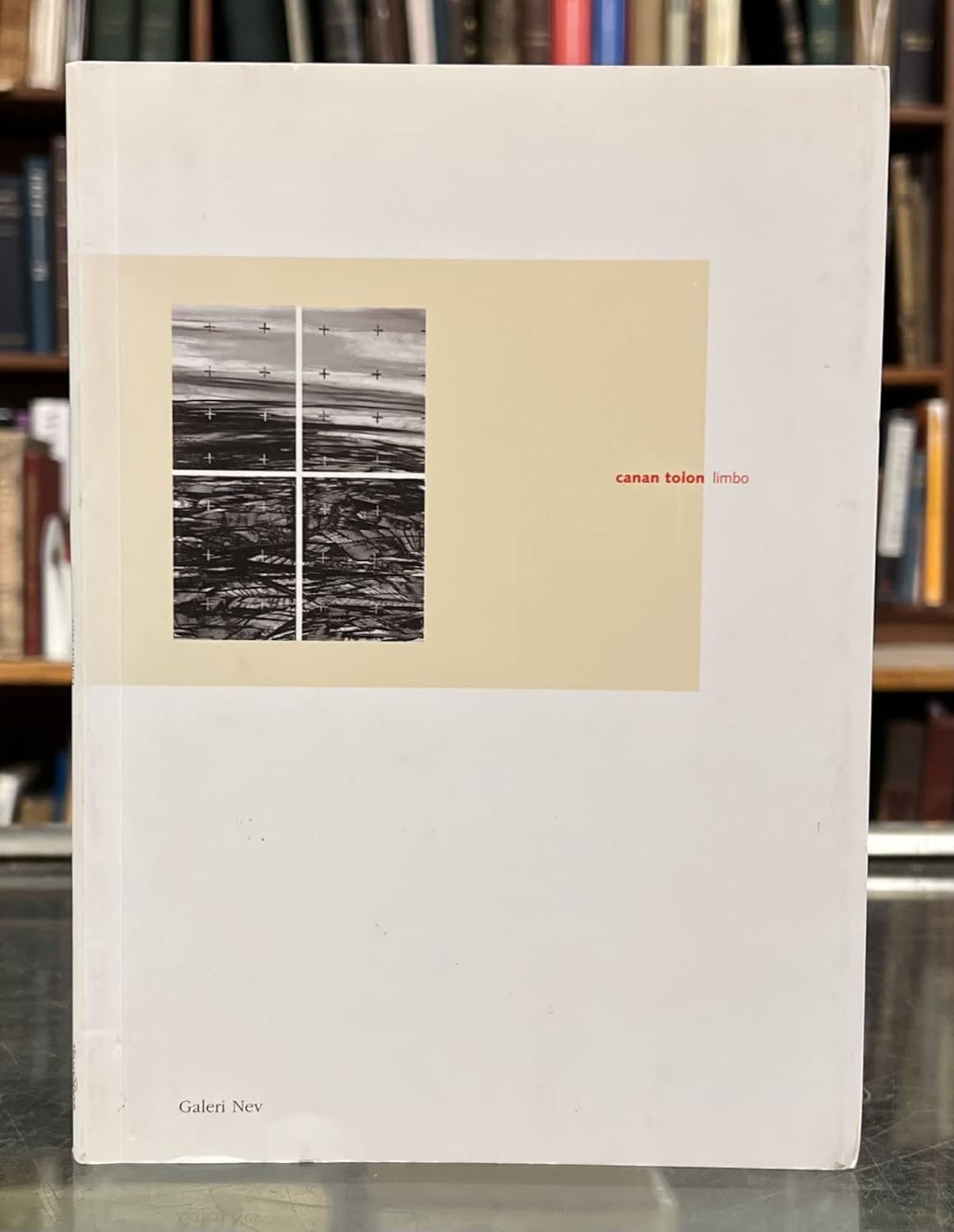 Canan Tolon: Limbo: Canan Tolon: 9789757529163: Amazon.com: Books