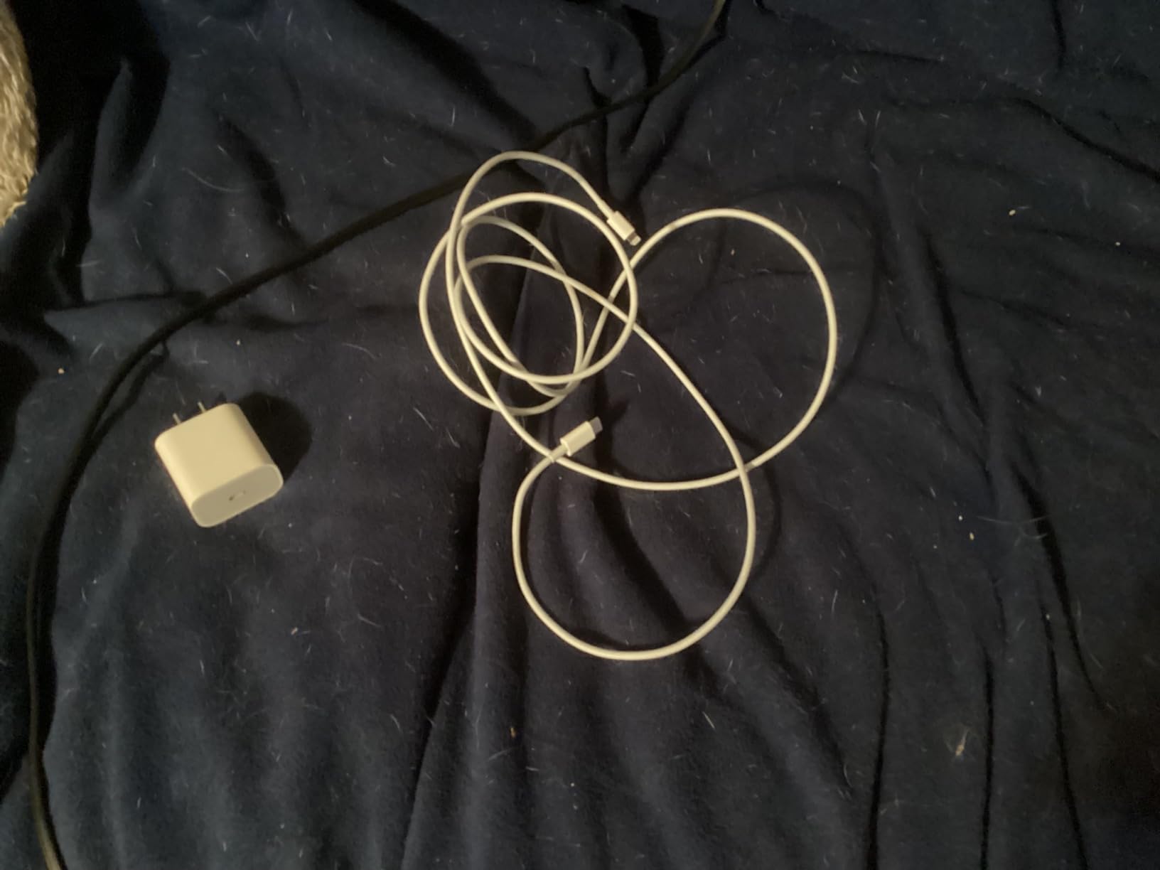 Amazon.com: Apple USB-C to Lightning Cable (2 m) : Electronics