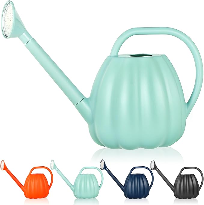Amazon.com : 1 Gallon Watering Can, Bottle for Watering Indoor Outdoor ...