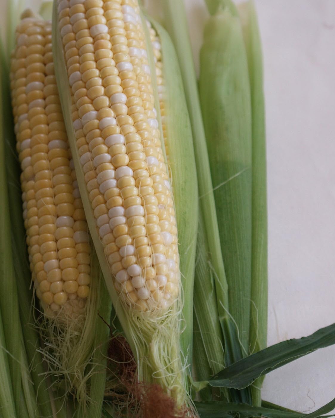 Sweet Corn In Containers Corn On The Cob Recipe