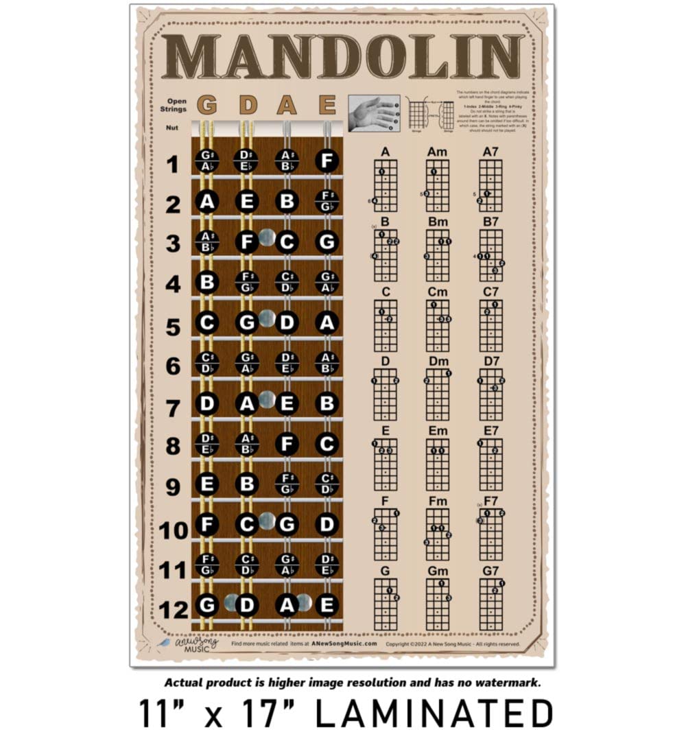 Snapklik.com : Laminated Mandolin Americana Style Easy Chord ...