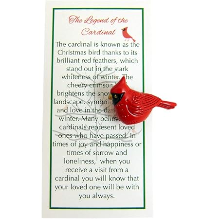 Amazon.com: Ganz The Lucky Little Cardinal Charm with Story Card New ...