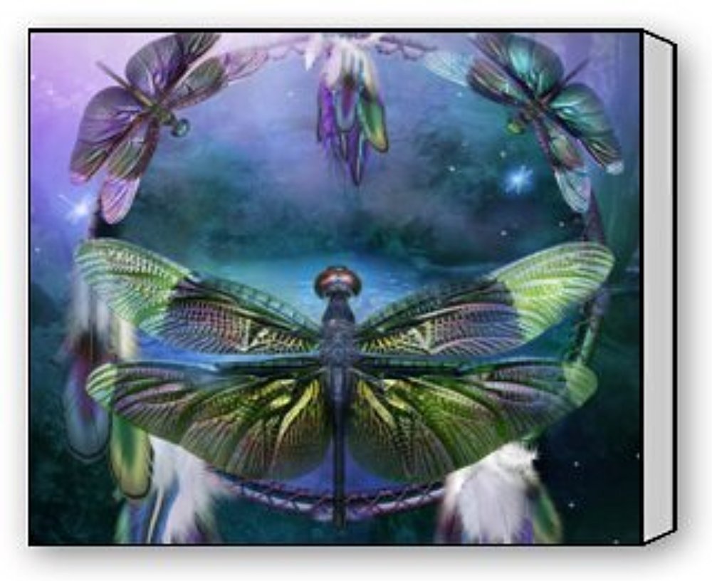 Pretty Dragonfly Art