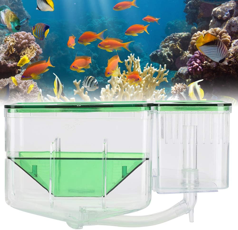 Amazon.com : JOROBURO Fish Breeding Box, Transparent Aquarium Little ...
