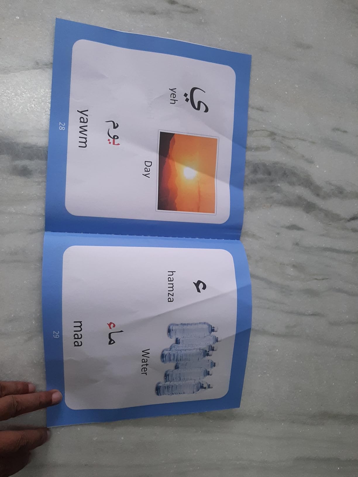 My First Arabic Alphabets Picture Book with English Translations ...