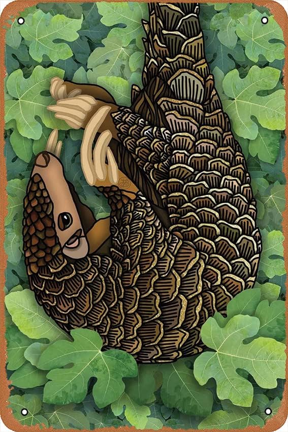Amazon.com: Pangolin poster Retro tin Sign Wall Art Decor Metal Sign ...