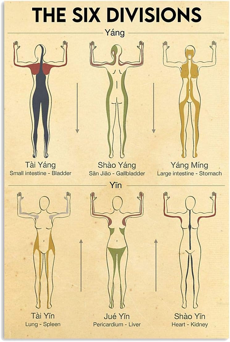 Amazon.com: Body Acupuncture Metal Tin Signs The Six Divisions ...