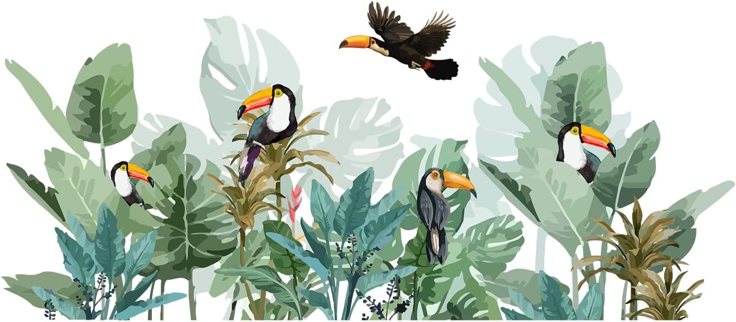 Amazon.com: SUPERDANT Tropical Toucan Birds Border Wall Sticker ...