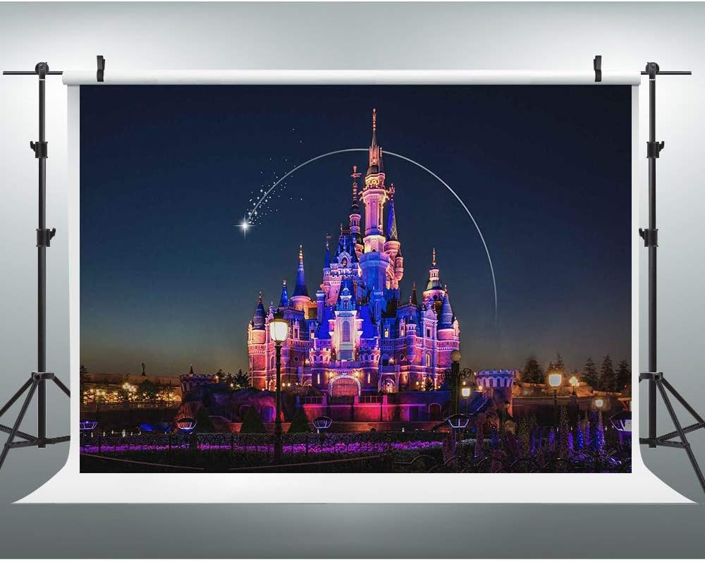 EOA 5(W) x3(H) FT Disneyland Castle Backdrop for Birthday Party ...