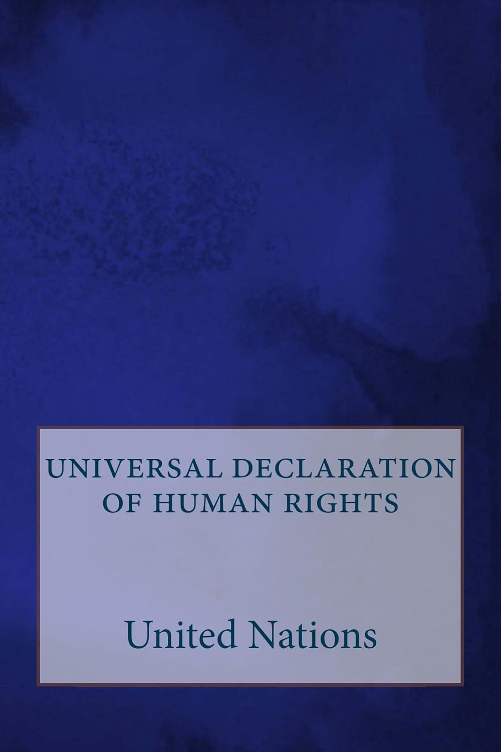 Amazon | universal declaration of human rights (English Edition ...