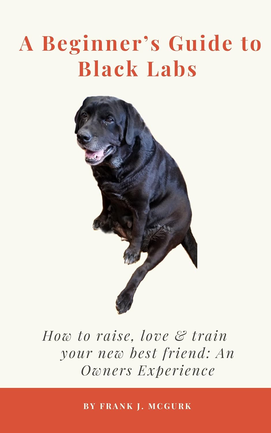 Beginner's Guide to Black Labs: How to raise, love & train your new ...