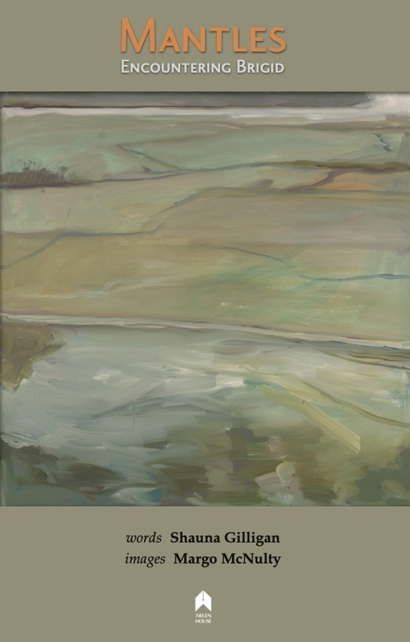 Amazon.com: Mantles: Encountering Brigid: 9781851322817: Gilligan ...