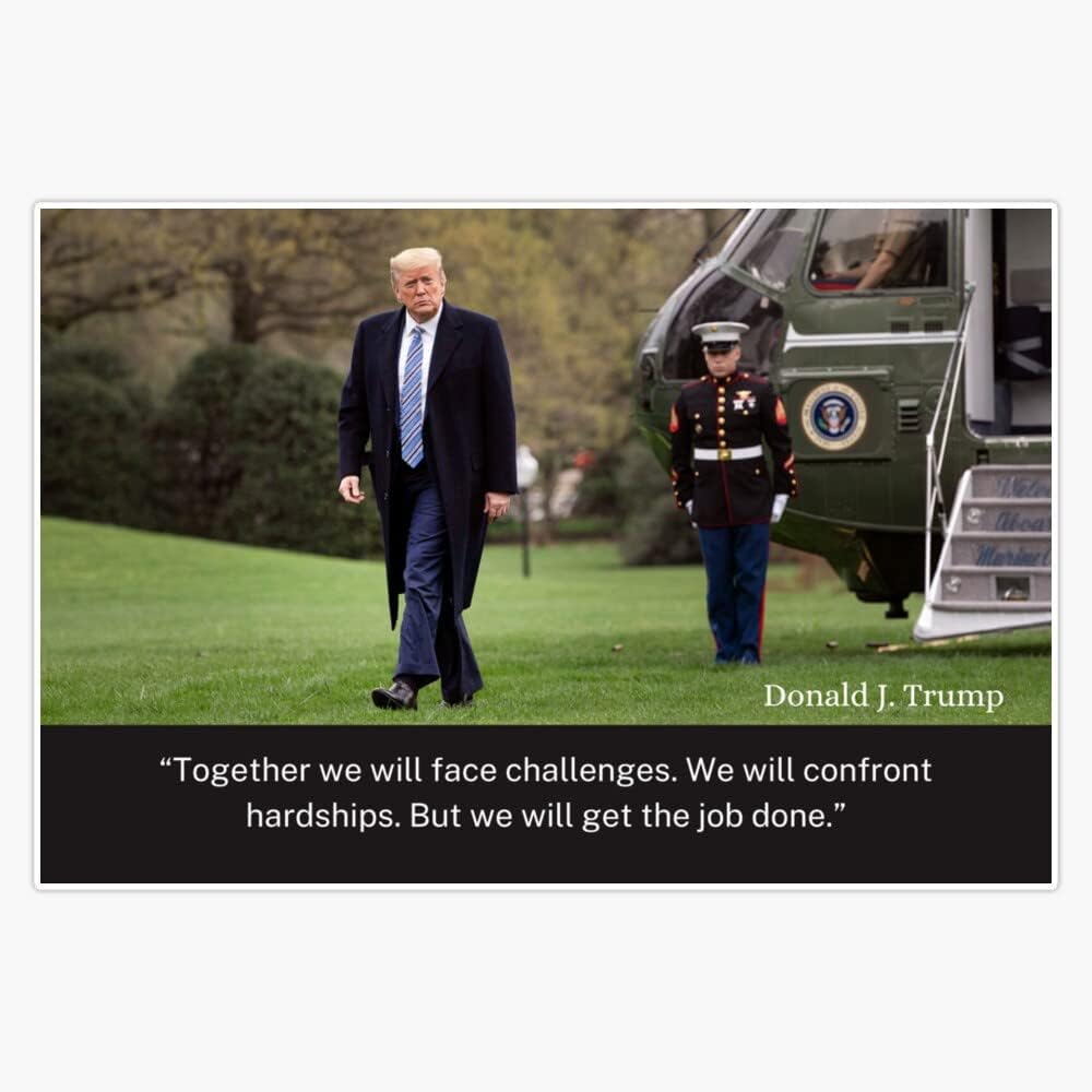 Amazon.com - Donald Trump Postcard - Inspiring Quote (Challenges) Vinyl ...