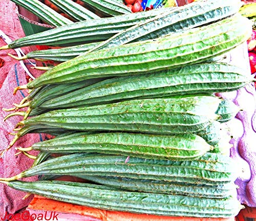 RIDGE GOURD SEEDS/PEERKANGAI SEEDS : Amazon.in: Garden & Outdoors