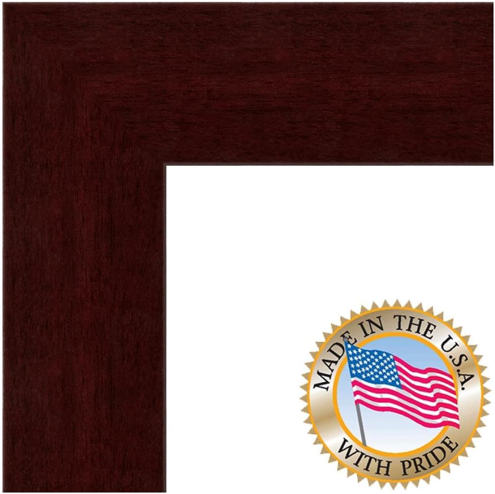 Amazon.com - ArtToFrames 20x24 / 20 x 24 Picture Frame Dark Mahogany ...