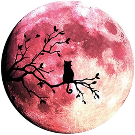 Amazon.com: MAFOX Glow in The Dark Wall or Moon Stickers – Luminous ...
