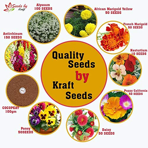 Kraft Seeds Flower Seeds Kit with 10 Heirloom Varieties of Seeds ...