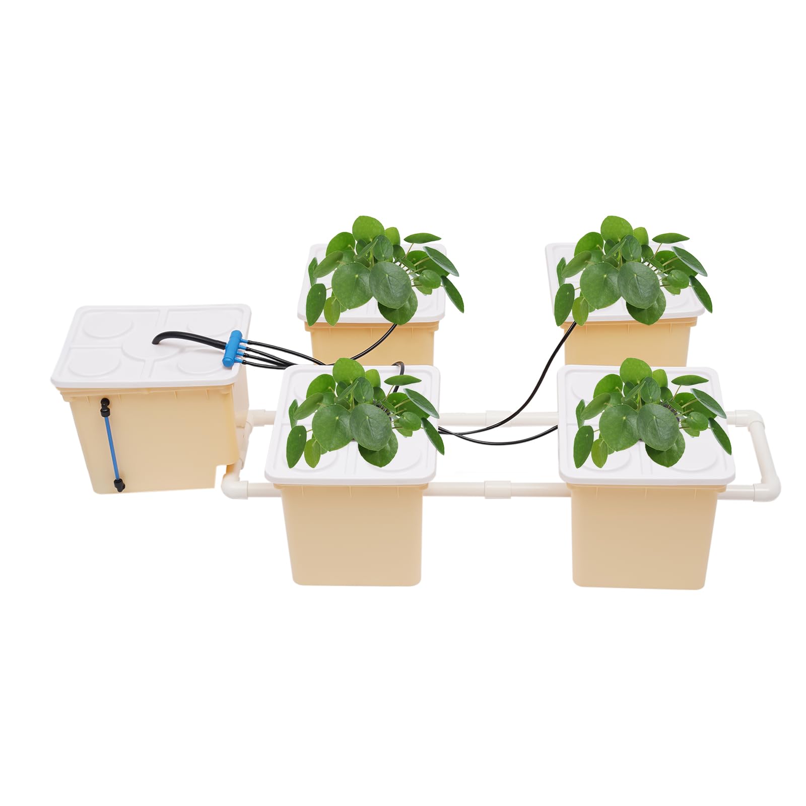 Amazon.com: DWC Hydroponic System, 5-Gallon 5 Buckets Deep Water ...