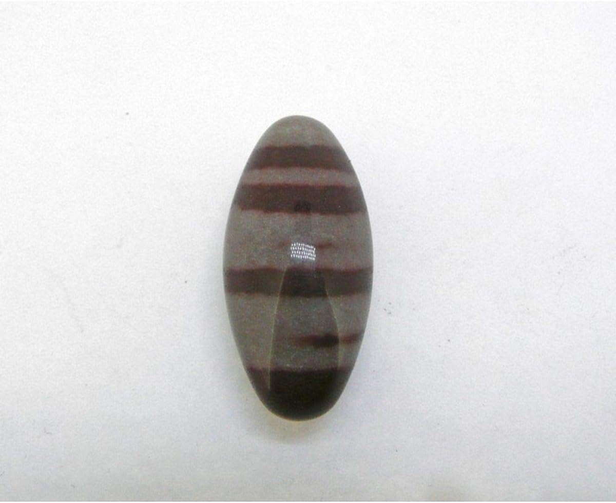 Amazon.com: Narmada Shiva Lingam ~ Narmada Shivling - Banalinga ...