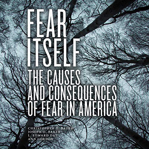 Amazon.com: Fear Itself: The Causes and Consequences of Fear in America ...